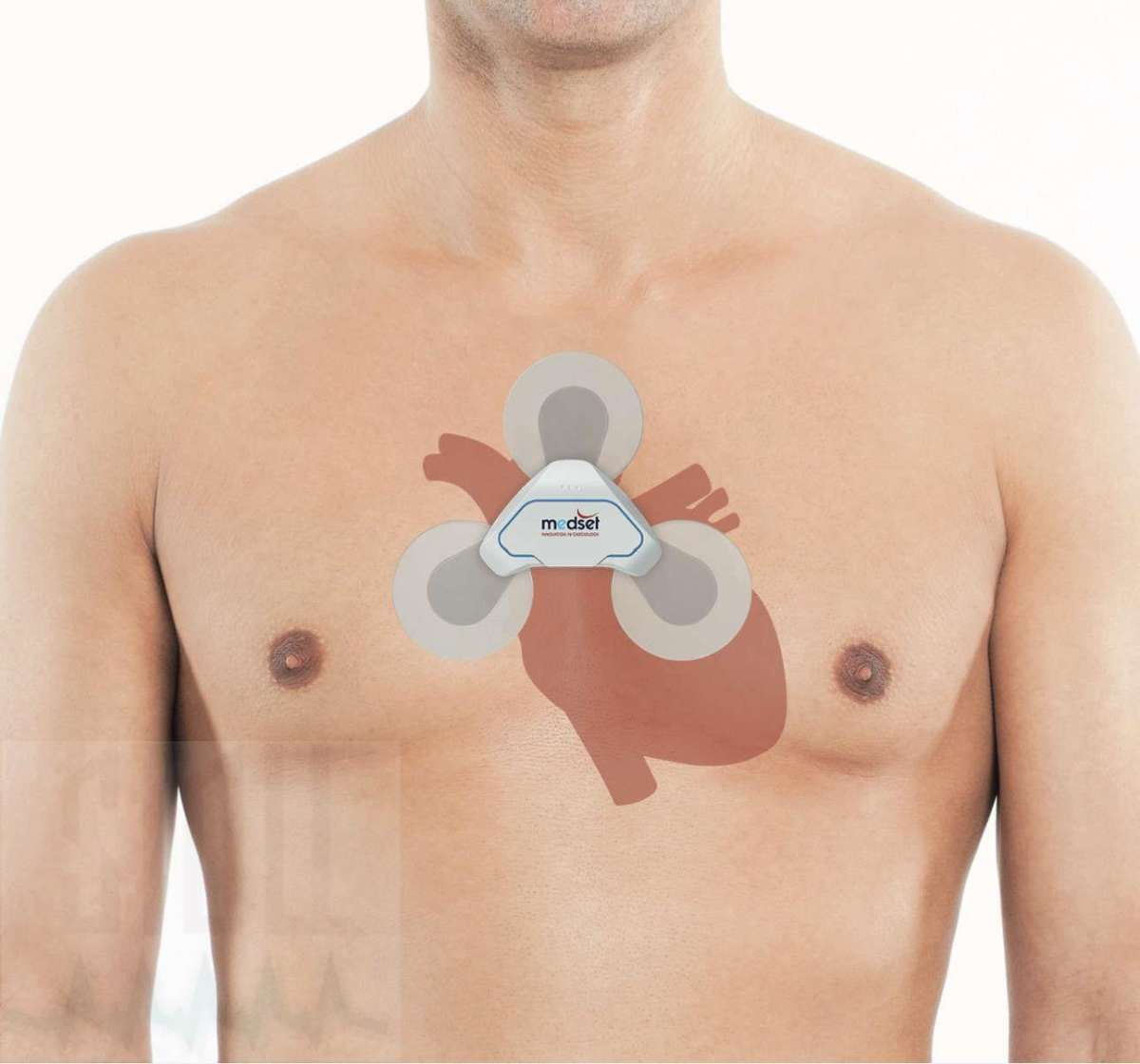 PADSY Planet ECG Time Set S | StollMT Shop